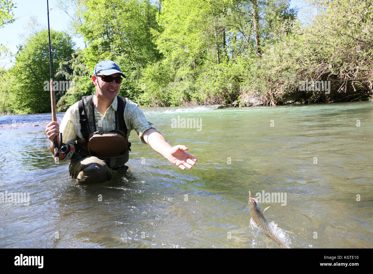 Fisherman in river catching brown trout Stock Photo - Alamy