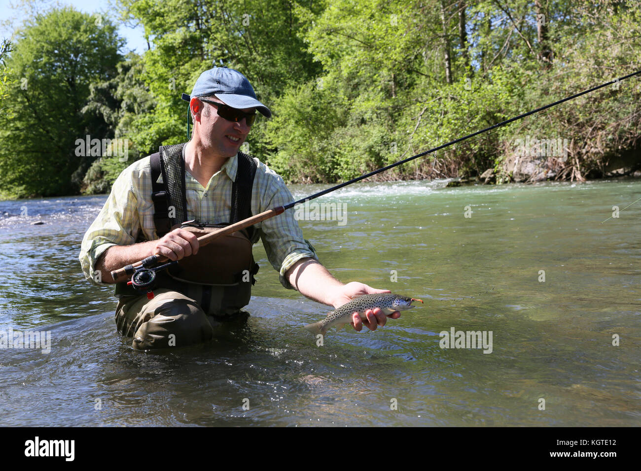 Fisherman in river catching brown trout Stock Photo - Alamy