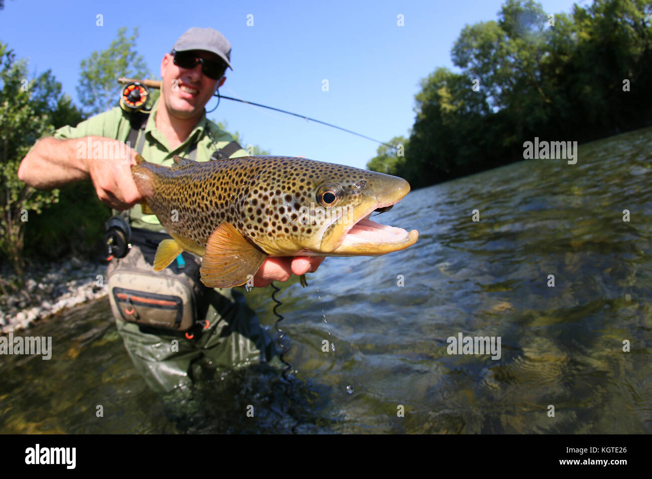 Closeup of fly-fisherman holding brown truit in river Stock Photo - Alamy