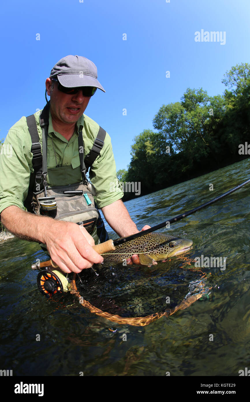Fly-fisherman catching brown trout in river Stock Photo - Alamy