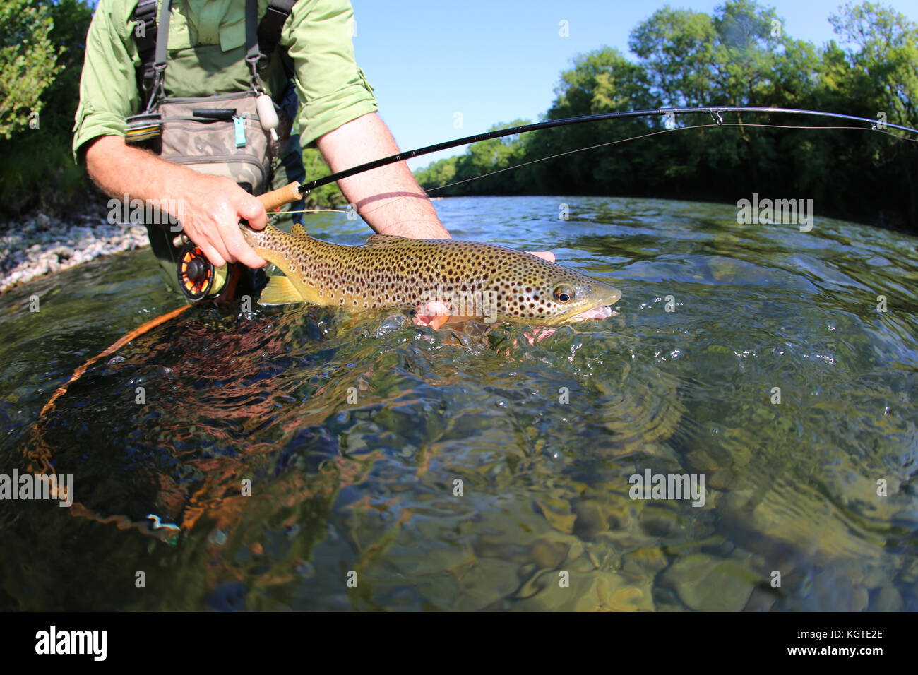 Trout guide hi-res stock photography and images - Alamy