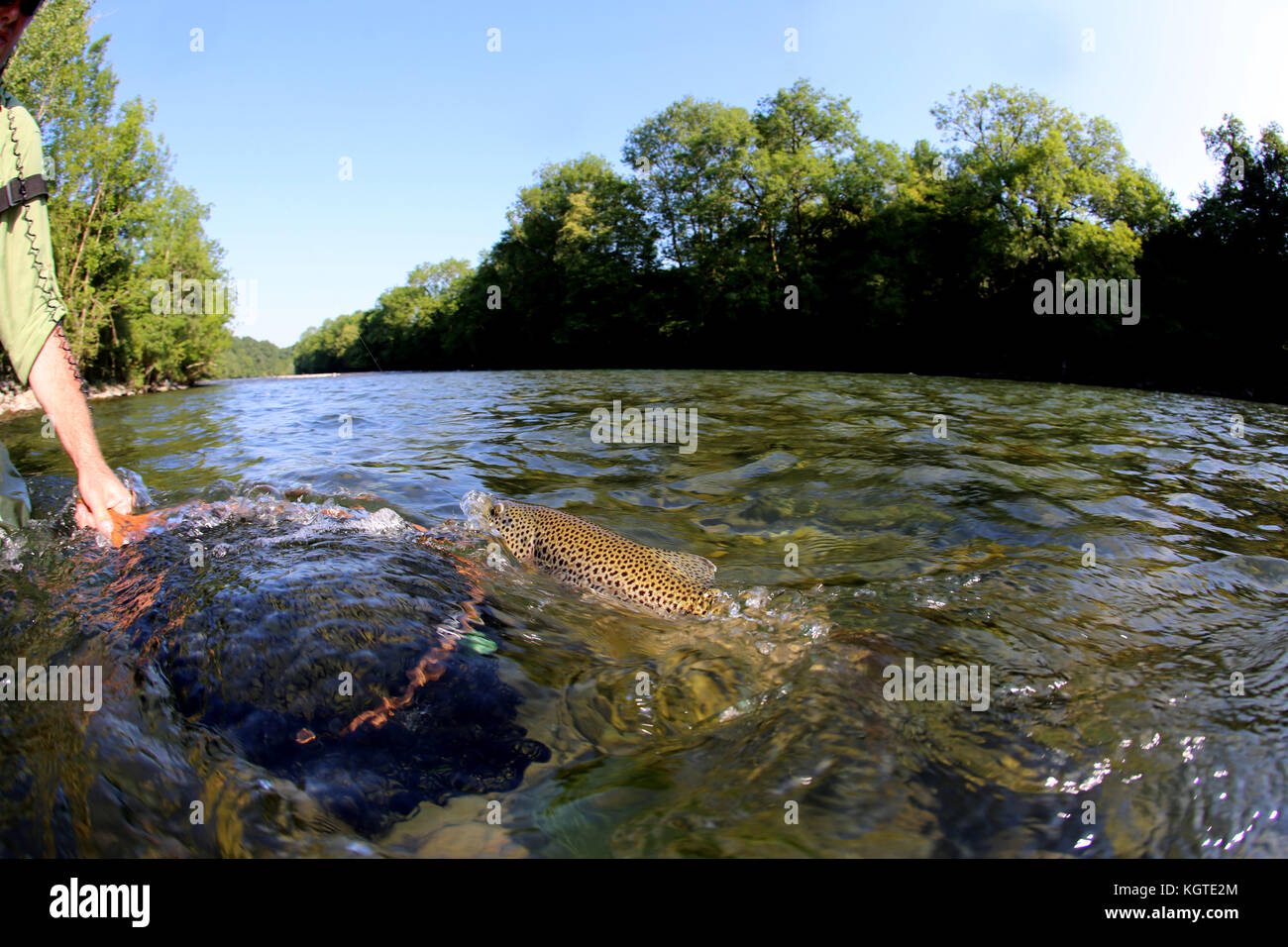 Taken out of water hi-res stock photography and images - Alamy