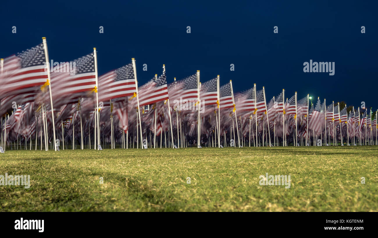 Low Angle Shot of Row of American Flags Stock Photo - Alamy