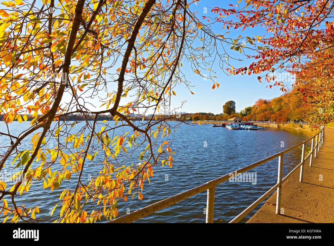 Pathway around the perimeter of Tidal Basin in the sunny fall morning ...