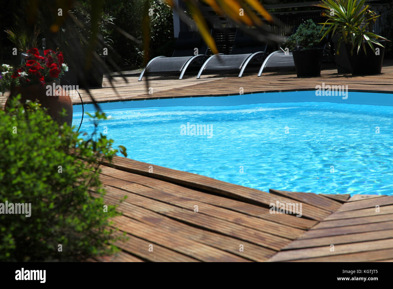 Closeup of private swimming pool Stock Photo - Alamy