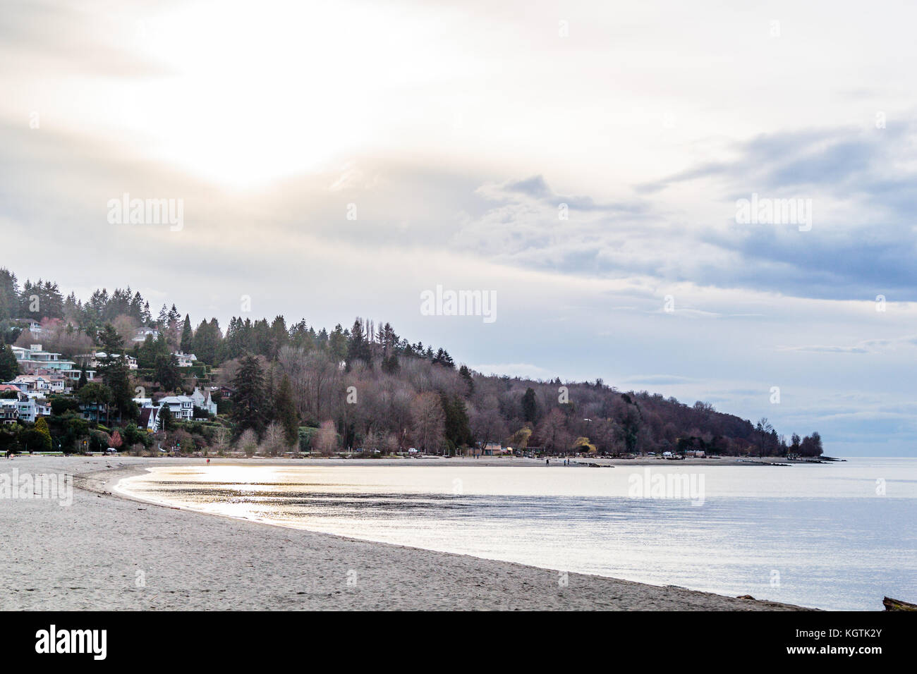 Tree in jericho park hi-res stock photography and images - Alamy