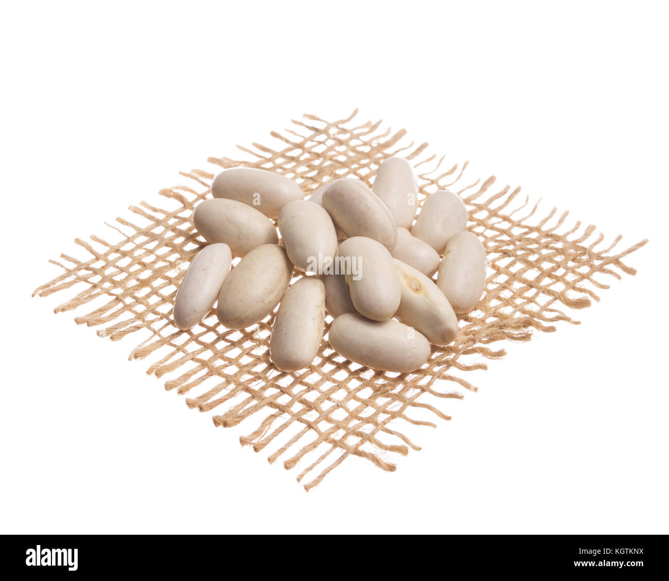 Phaseolus vulgaris is scientific name of Navy Bean legume. Also known ...