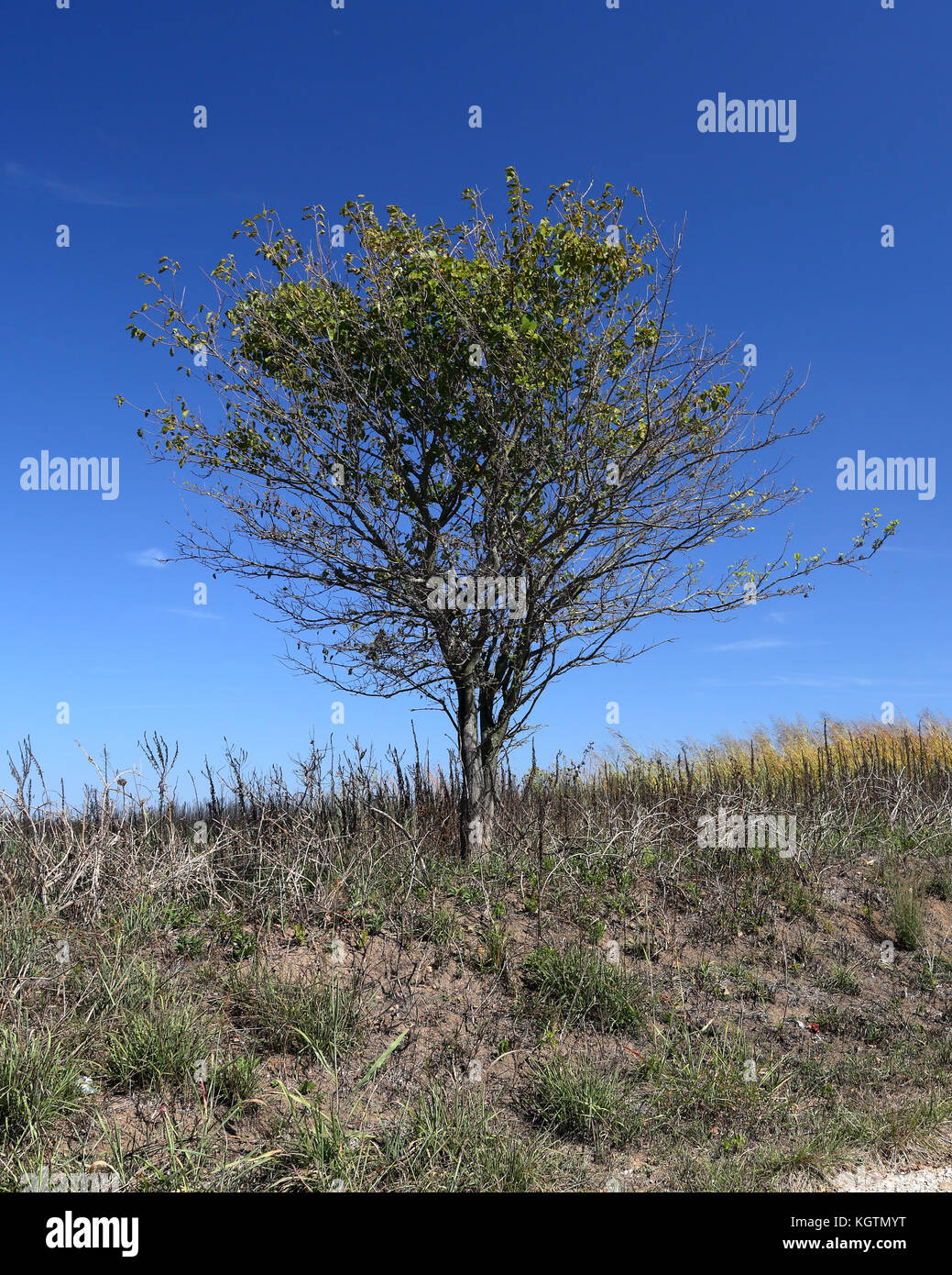 Central indiana hi-res stock photography and images - Alamy