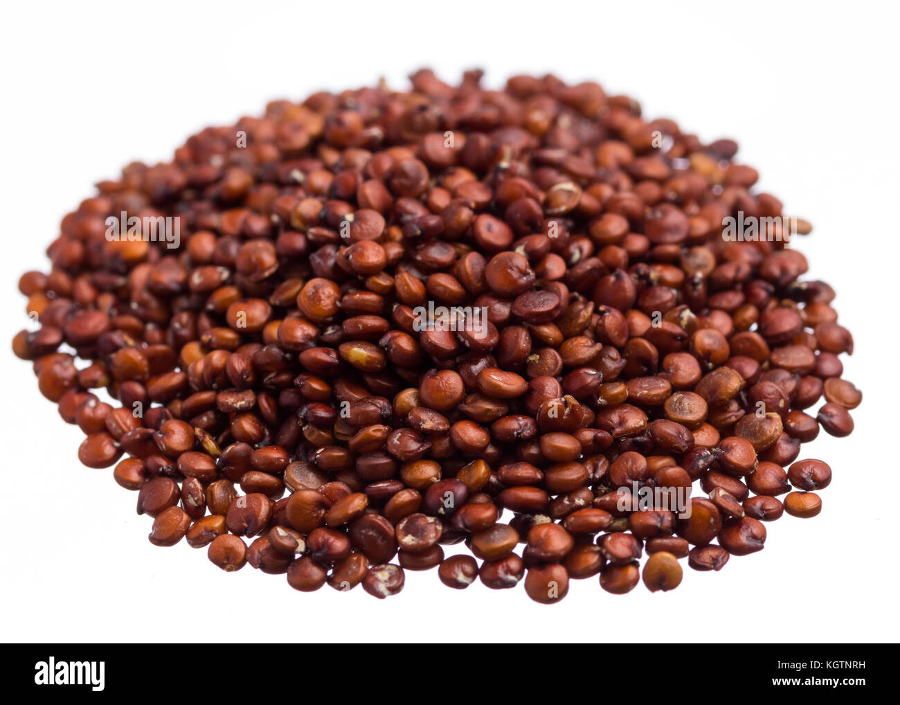 Chenopodium quinoa is scientific name of Red Quinoa seed. Pile of ...