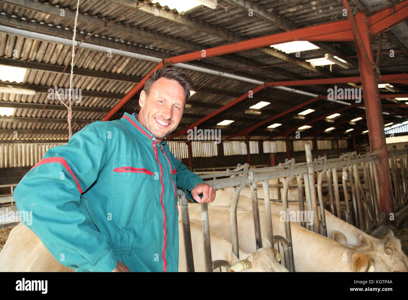 Farmer standing in barn Stock Photo - Alamy