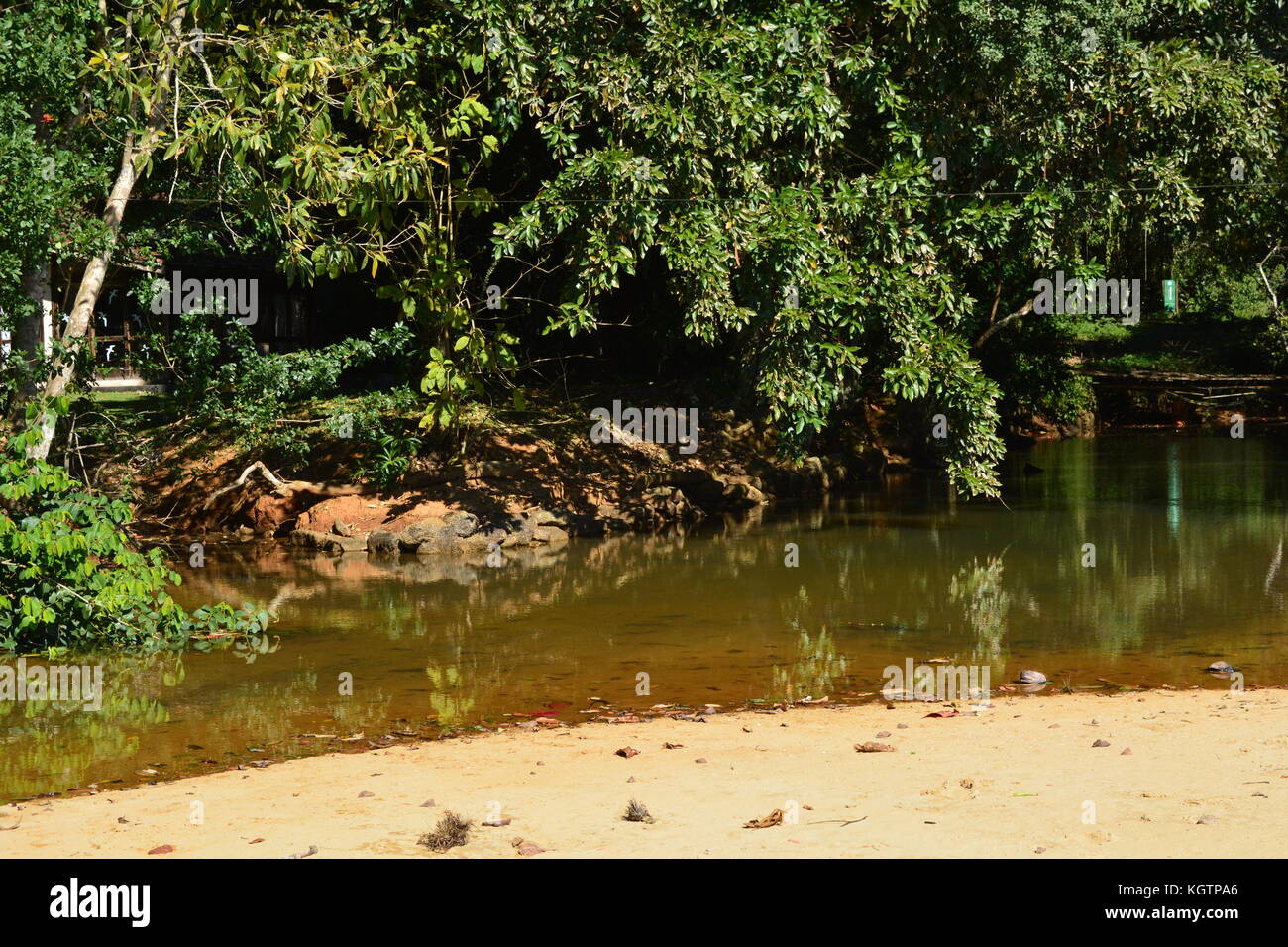 River with reflection of trees in water, sand bank Stock Photo - Alamy