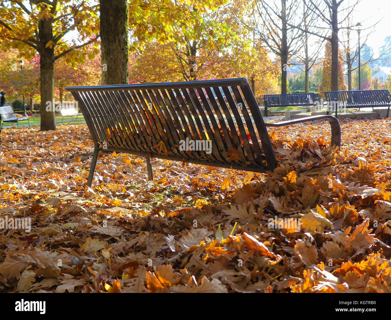 Fall season empty metal benches sunshine background Stock Photo - Alamy