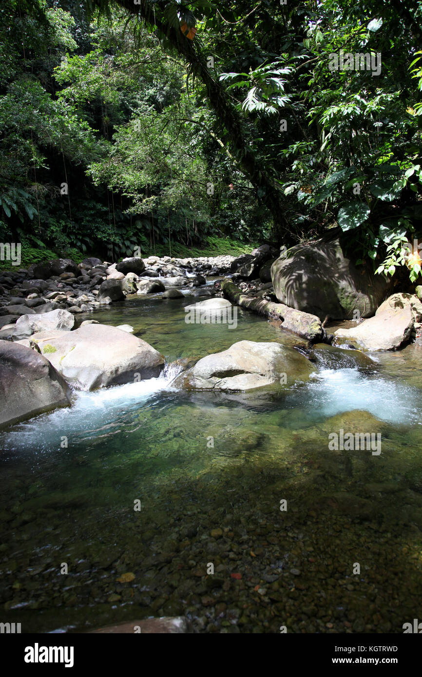 Closeup of natural spring water Stock Photo - Alamy