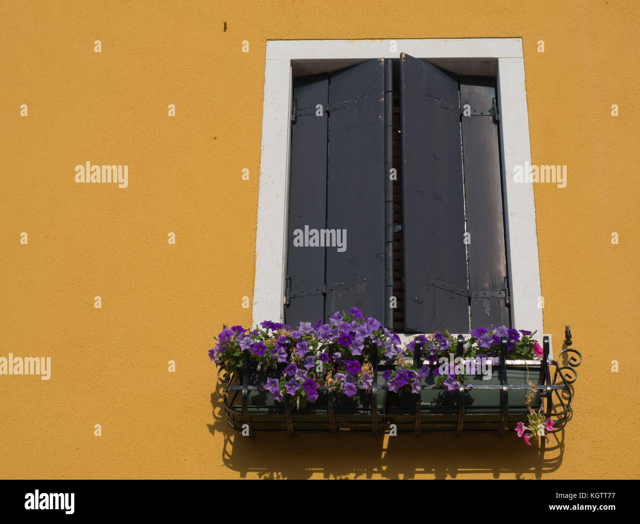 Venetian windows flowers green hi-res stock photography and images - Alamy