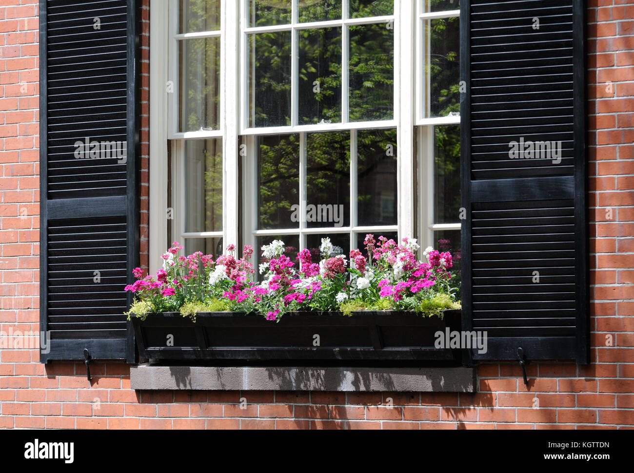 Black Window Box High Resolution Stock Photography and Images - Alamy