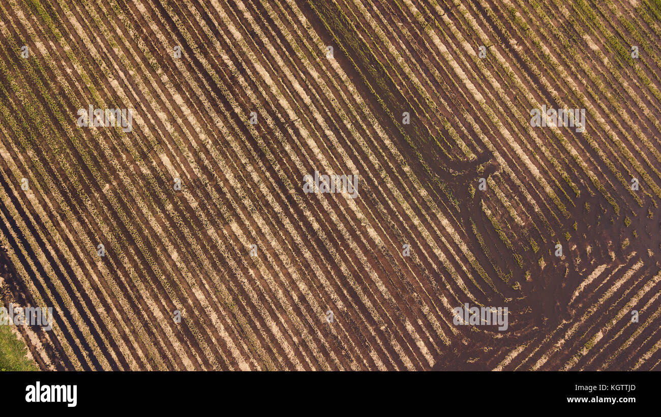 An aerial view of Paddy Stock Photo - Alamy
