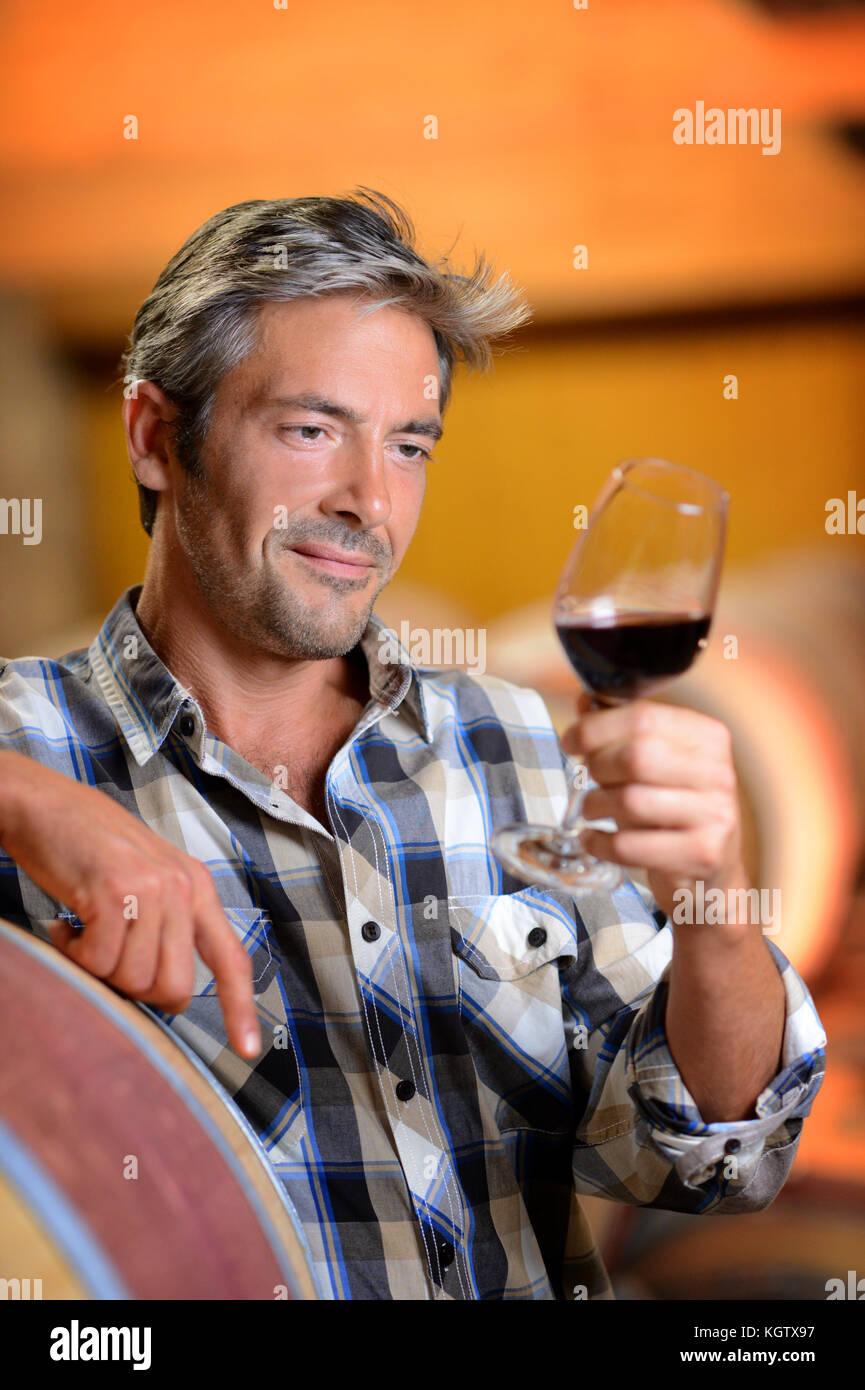 Winemaker looking at red wine in glass Stock Photo - Alamy