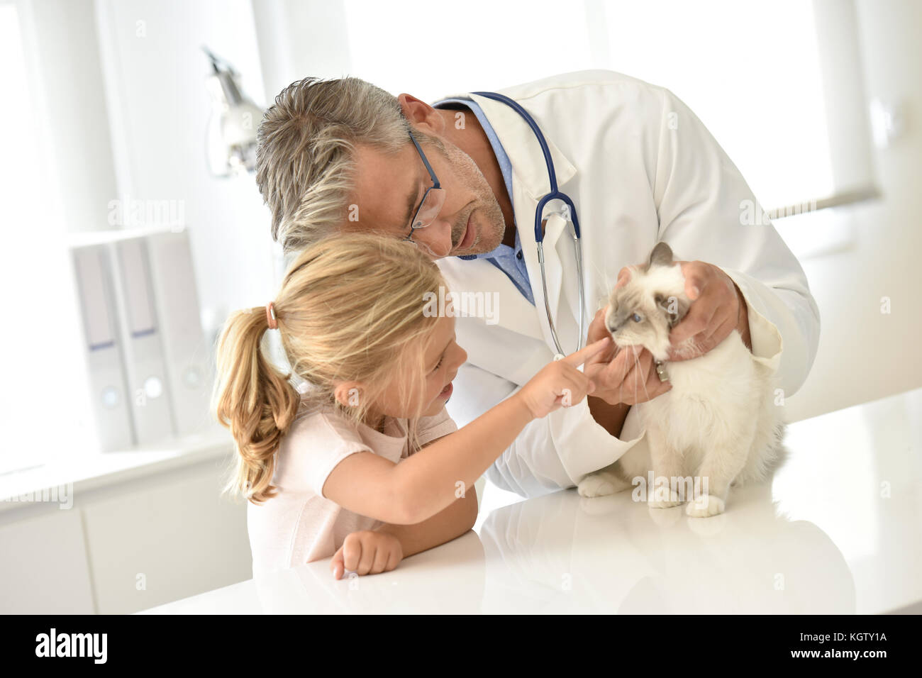 Girl cat measure hi-res stock photography and images - Alamy