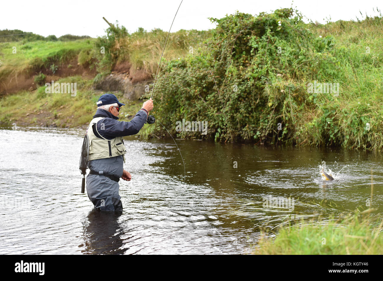 Fly-fisherman catching trout in irish river Stock Photo - Alamy