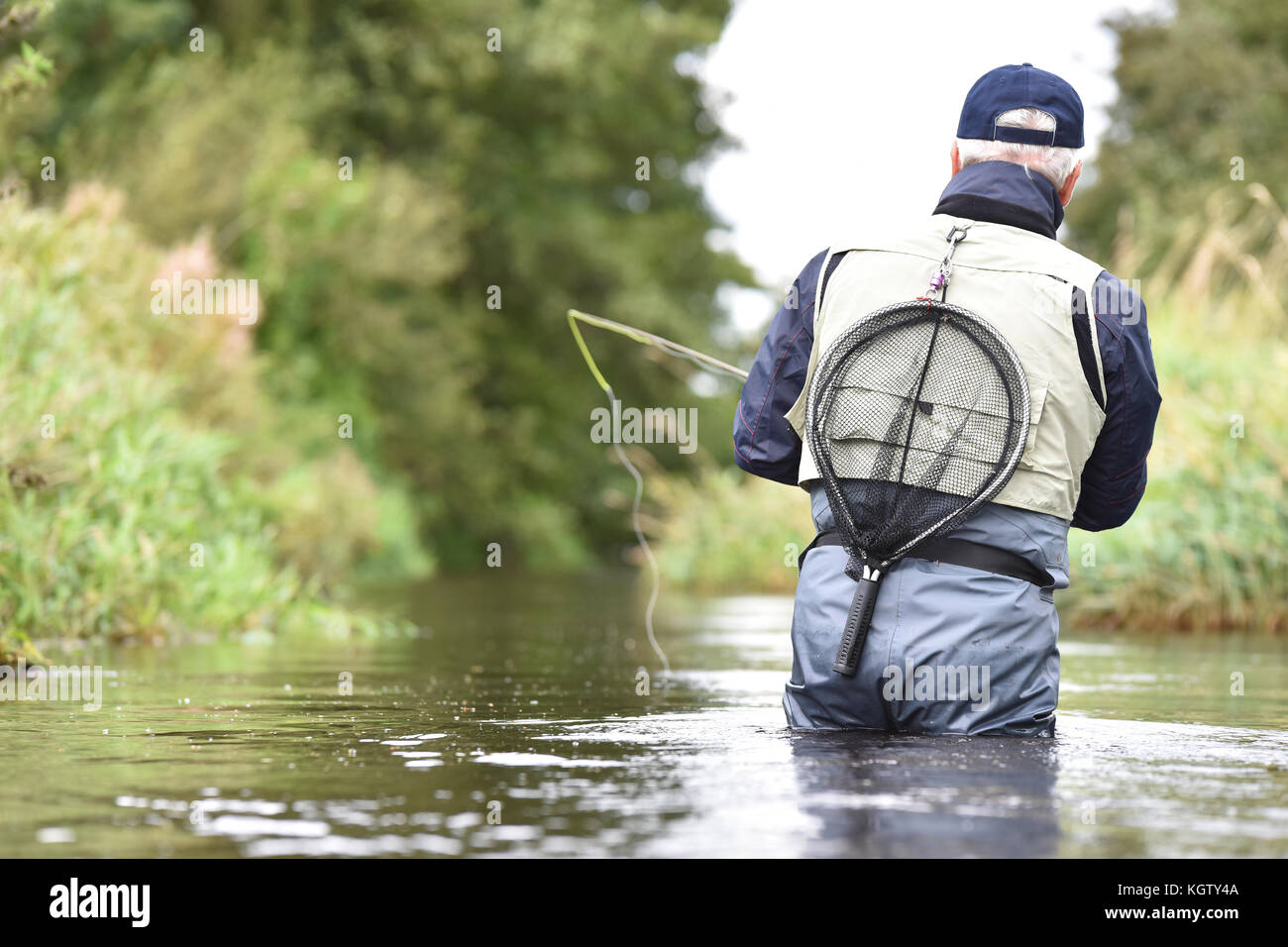 Back view of fly-fisherman fishing in river Stock Photo - Alamy