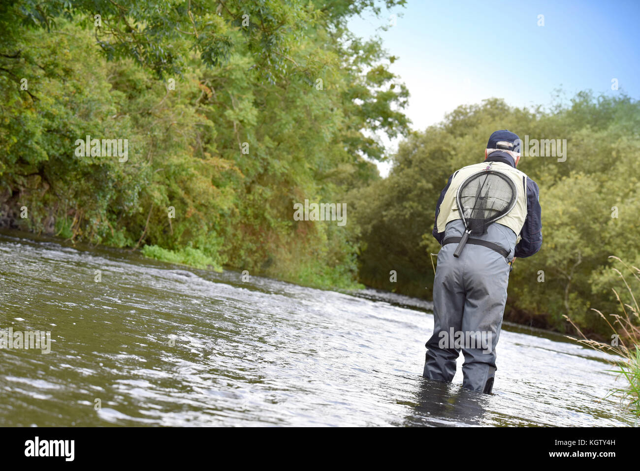 Back view of fly-fisherman fishing in river Stock Photo - Alamy