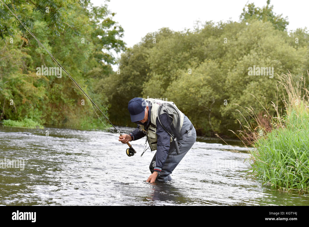 Fly-fisherman catching trout in irish river Stock Photo - Alamy