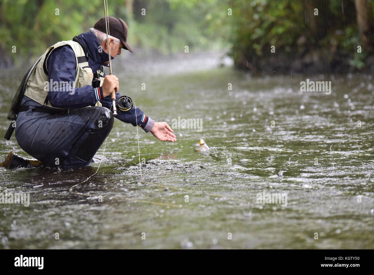 Fly-fisherman catching trout in river, under the rain Stock Photo - Alamy