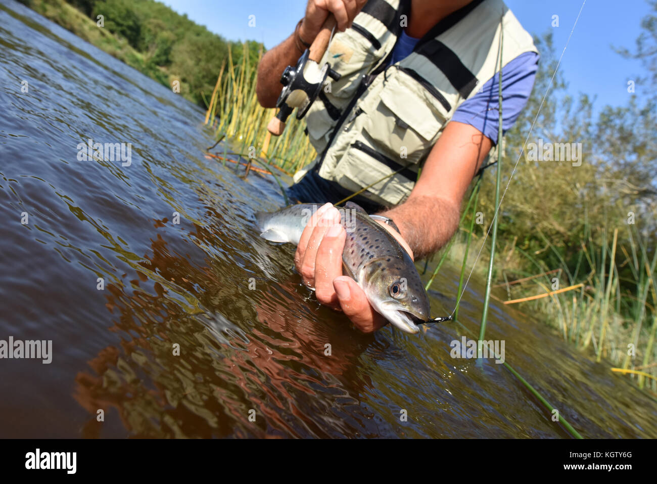 Seatrout fishing hi-res stock photography and images - Alamy
