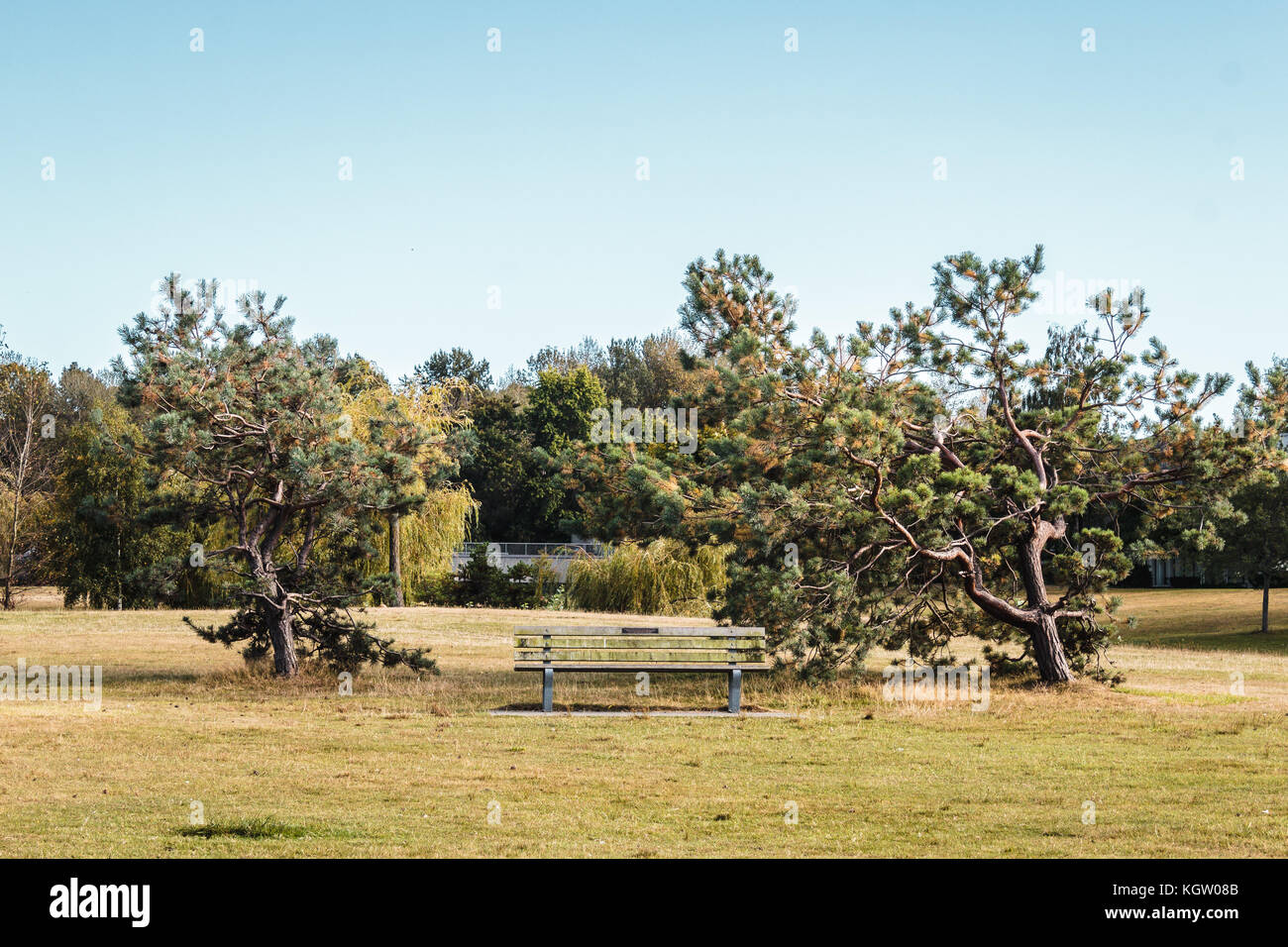 Photo of Trees at Vanier Park in Vancouver, Canada Stock Photo - Alamy