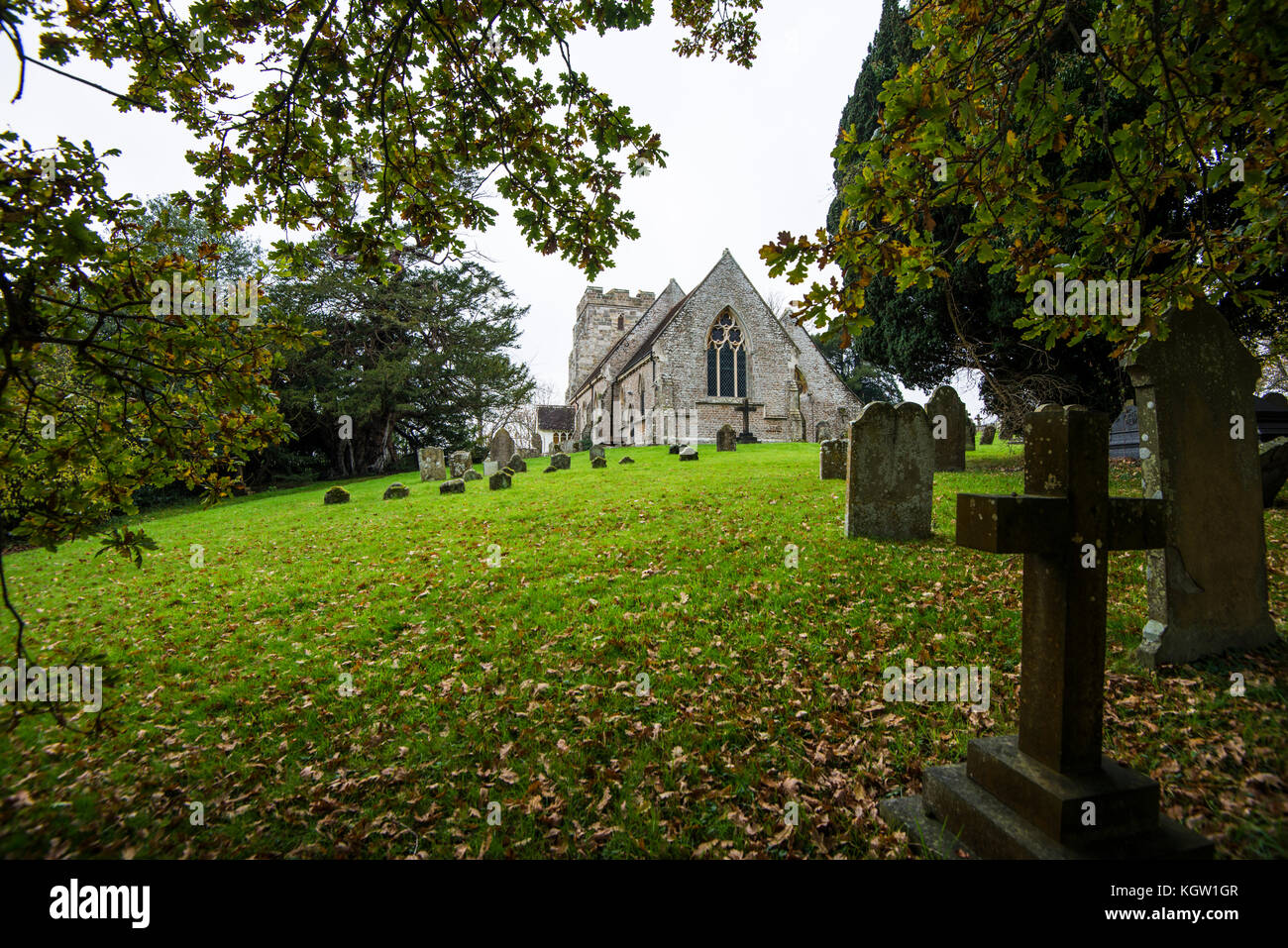 Crowhurst Village Scenes. Church. Yew Tree. Station. Oaks. A lovely ...