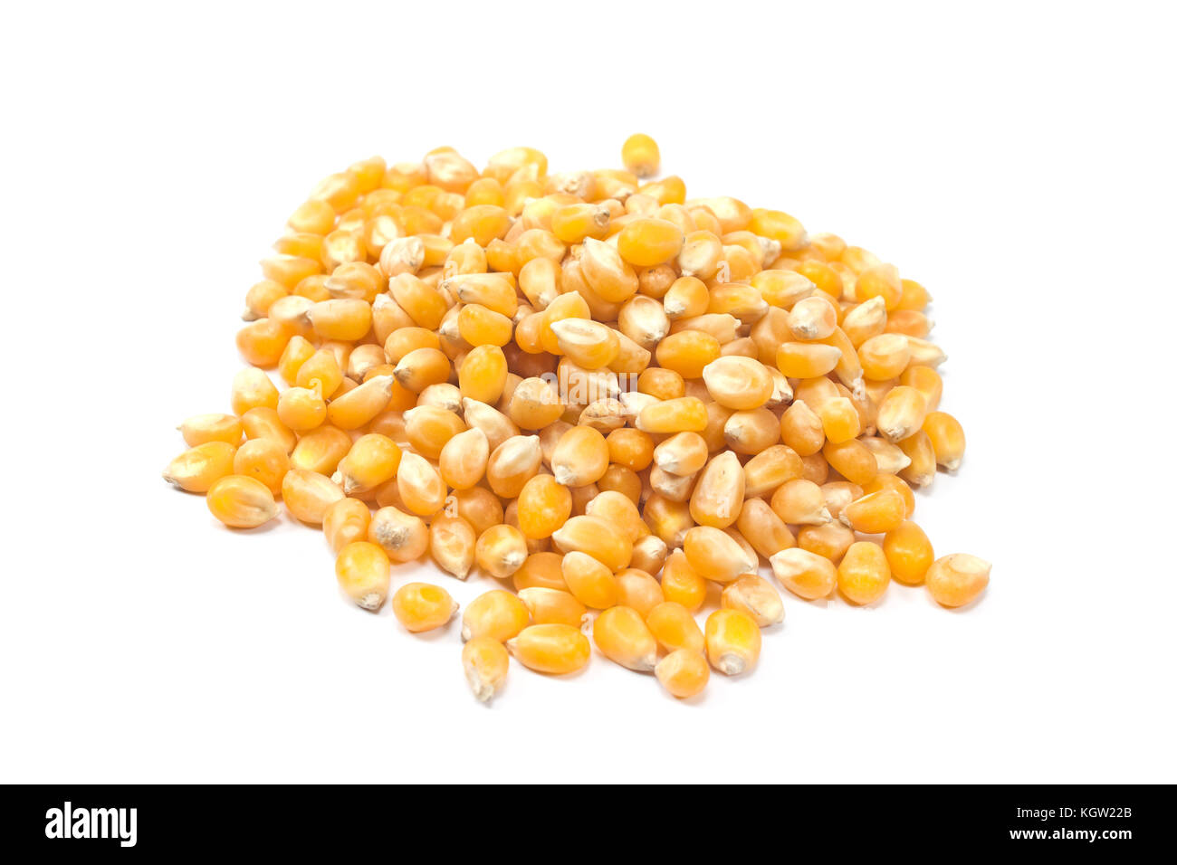 Pop corn seed isolated on white Stock Photo - Alamy