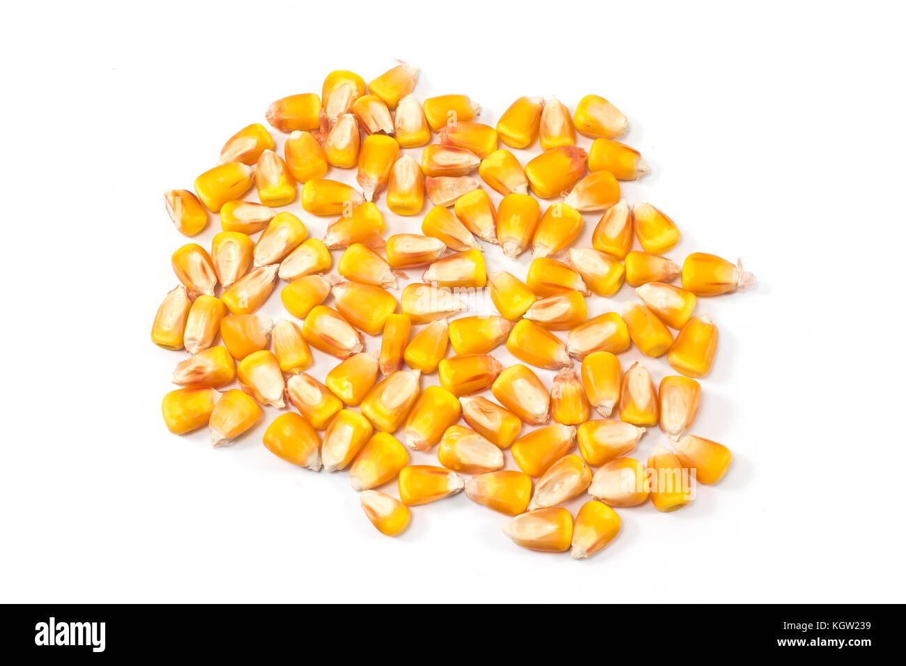 Grain hybrid Cut Out Stock Images & Pictures - Alamy