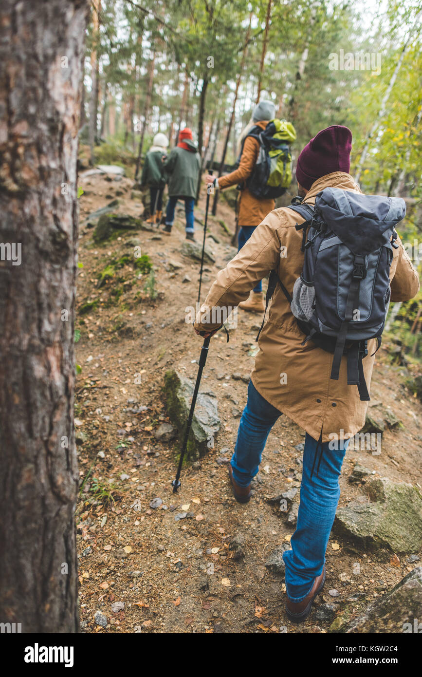 parents and kids trekking in forest Stock Photo - Alamy