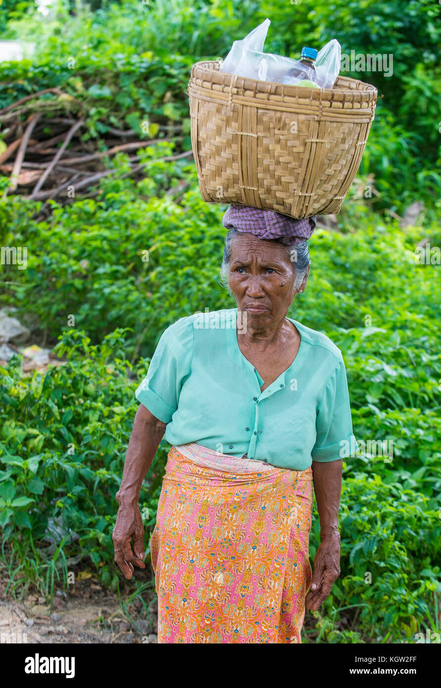 Portrait of Burmese farmer in Shan state Myanmar Stock Photo - Alamy