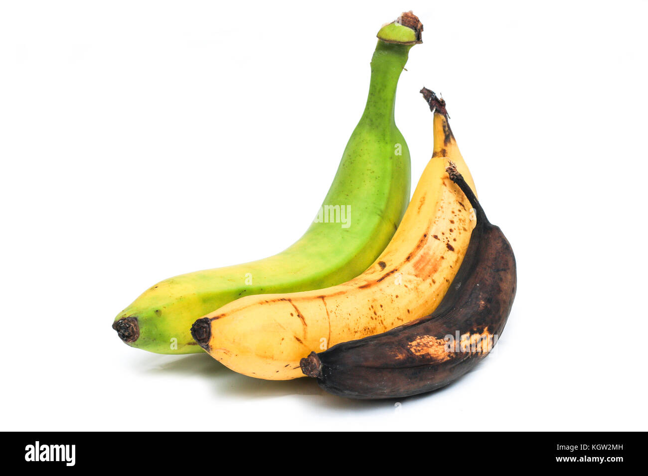 A picture of three ordinary bananas, without modifications..as you know ...