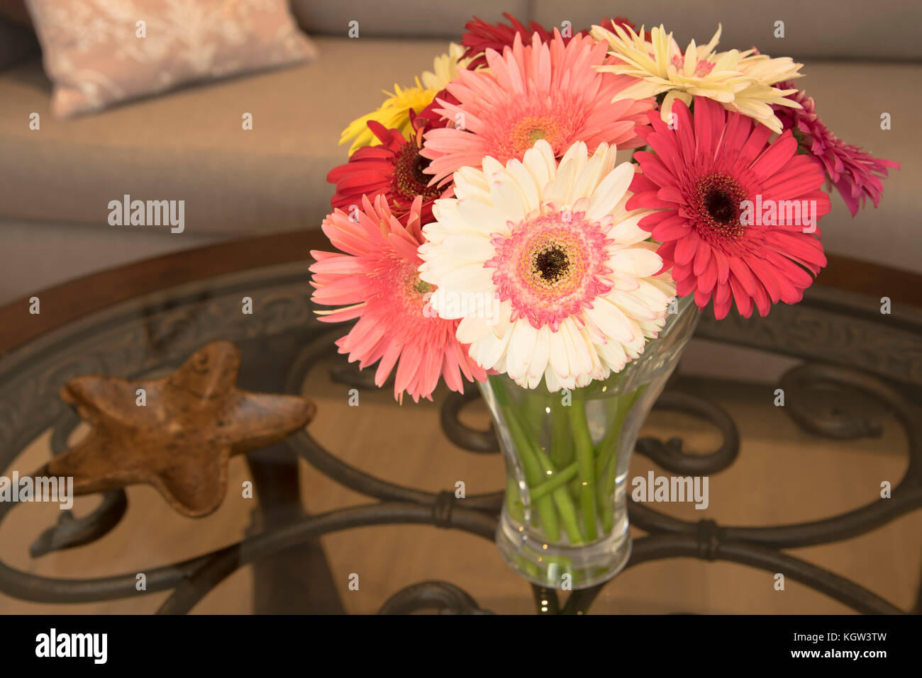 Gerberas vase hi-res stock photography and images - Alamy