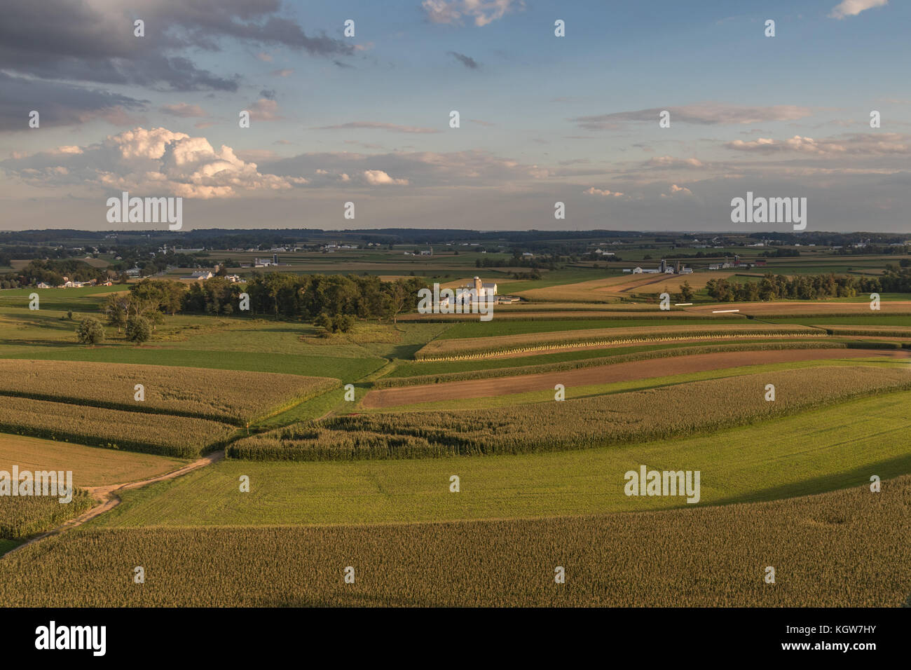 Pennsylvania farm fields with corn and alfalfa fields Stock Photo - Alamy