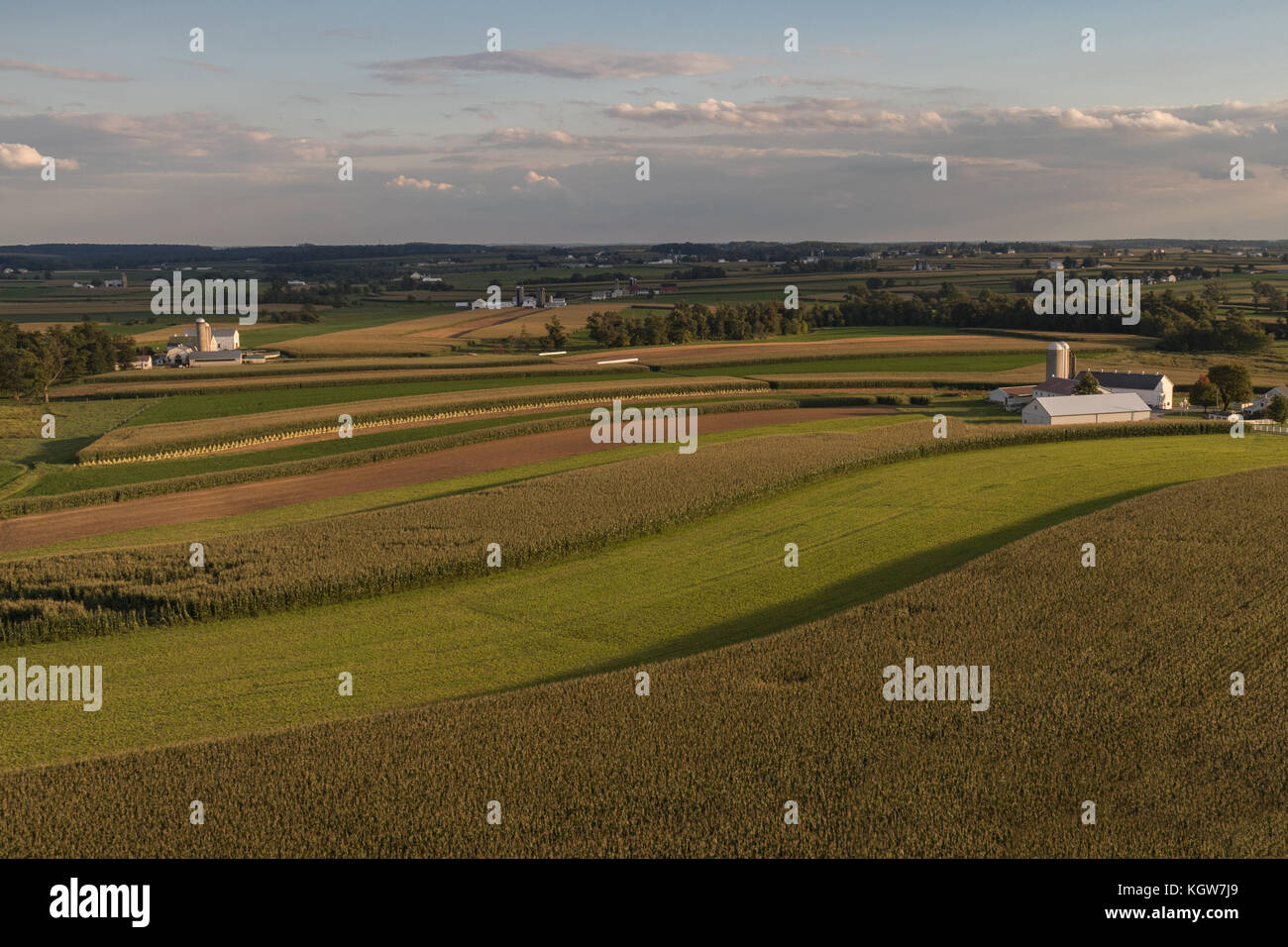 Pennsylvania farm fields with corn and alfalfa fields Stock Photo - Alamy