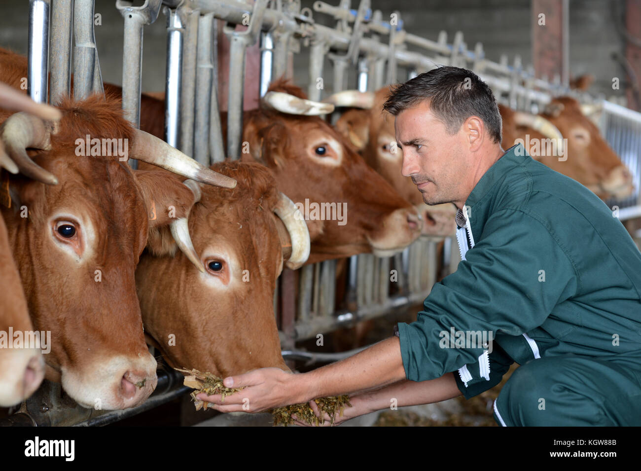 Cattleman hi-res stock photography and images - Alamy