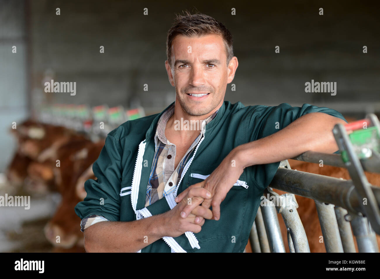 Portrait of smiling herdsman standing in barn Stock Photo - Alamy