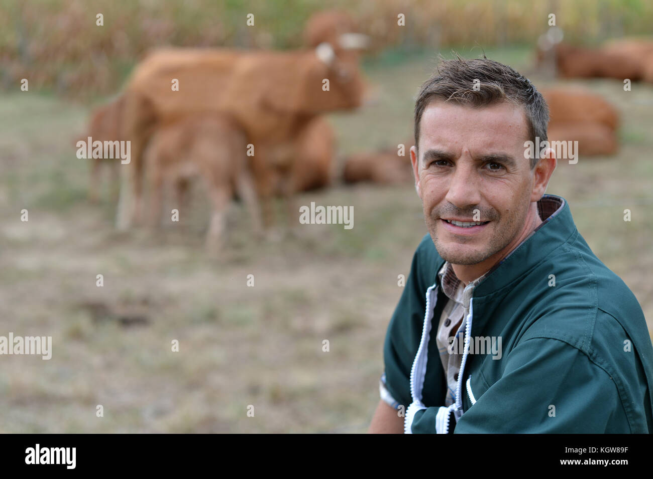 Herdsman standing in front of cattle in farm Stock Photo - Alamy
