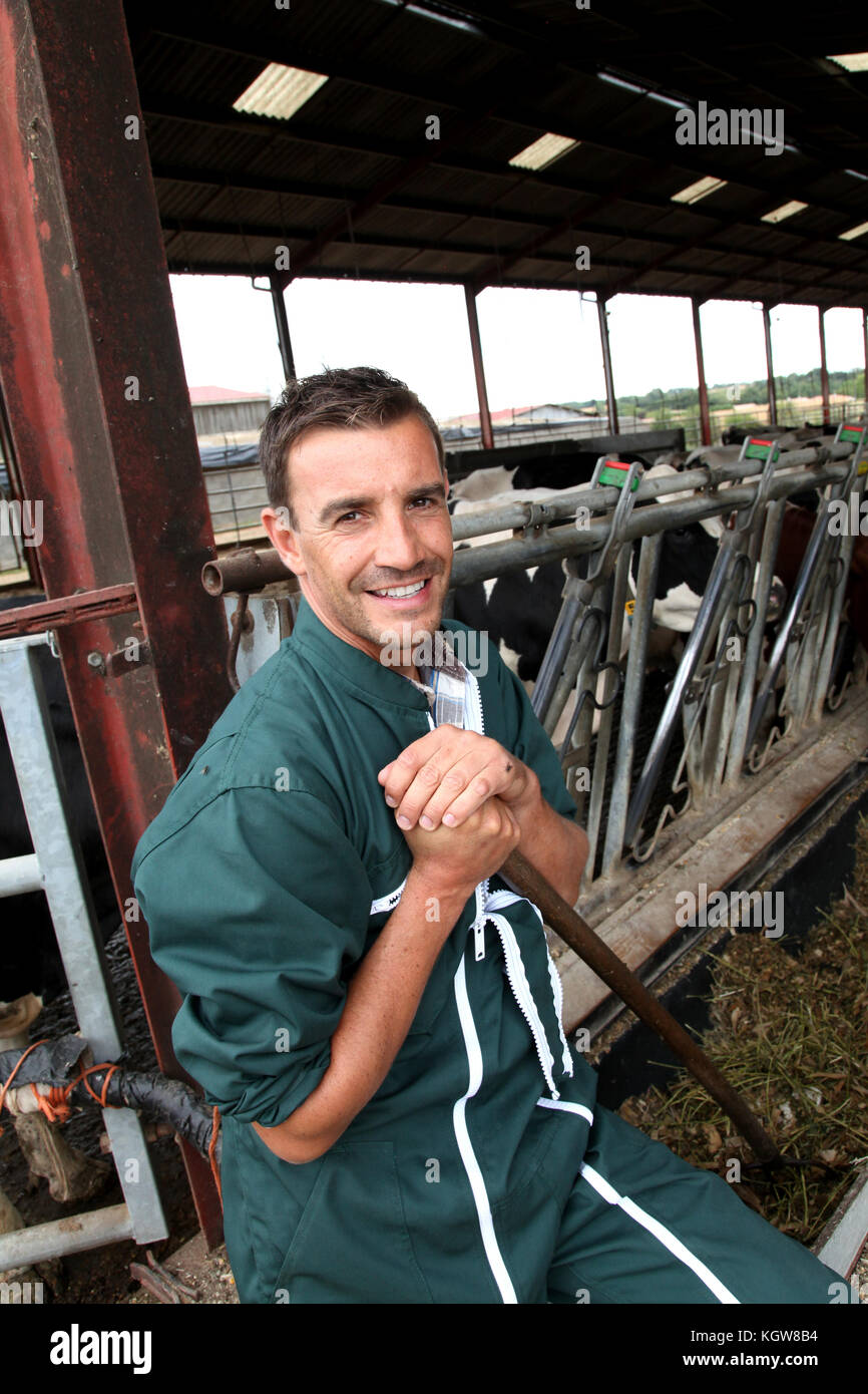 Farmer cleaning cow barn hi-res stock photography and images - Alamy