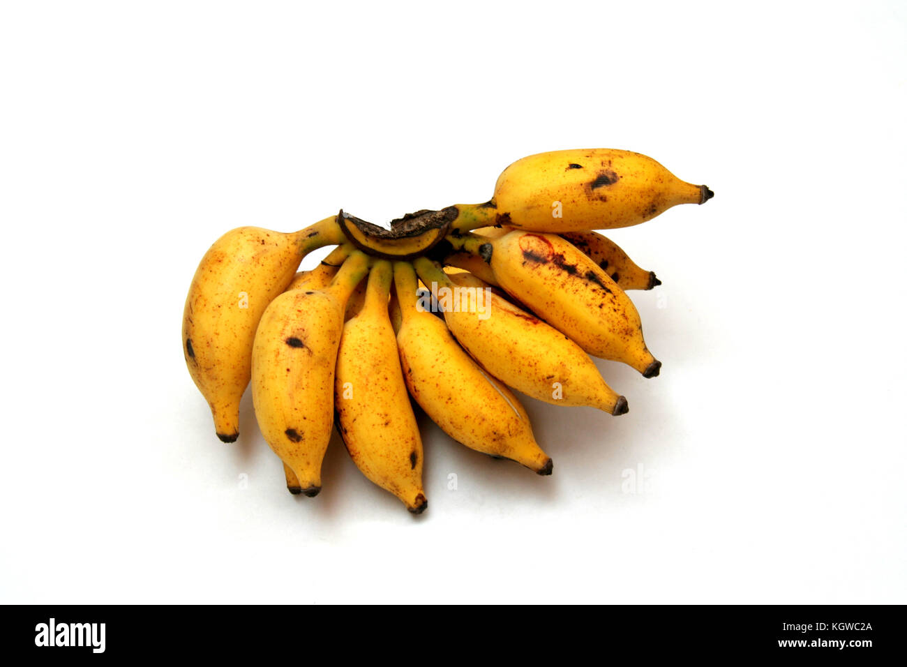 Bunch of long, curved, ripe banana fruits with white, soft, pulpy flesh ...