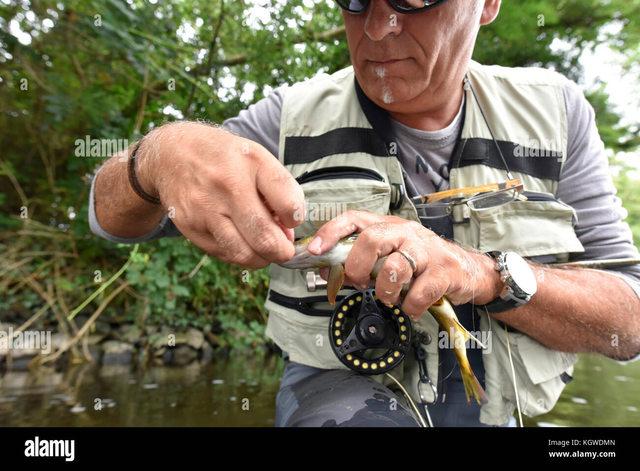 Fly-fisherman taking hook out from trout Stock Photo - Alamy