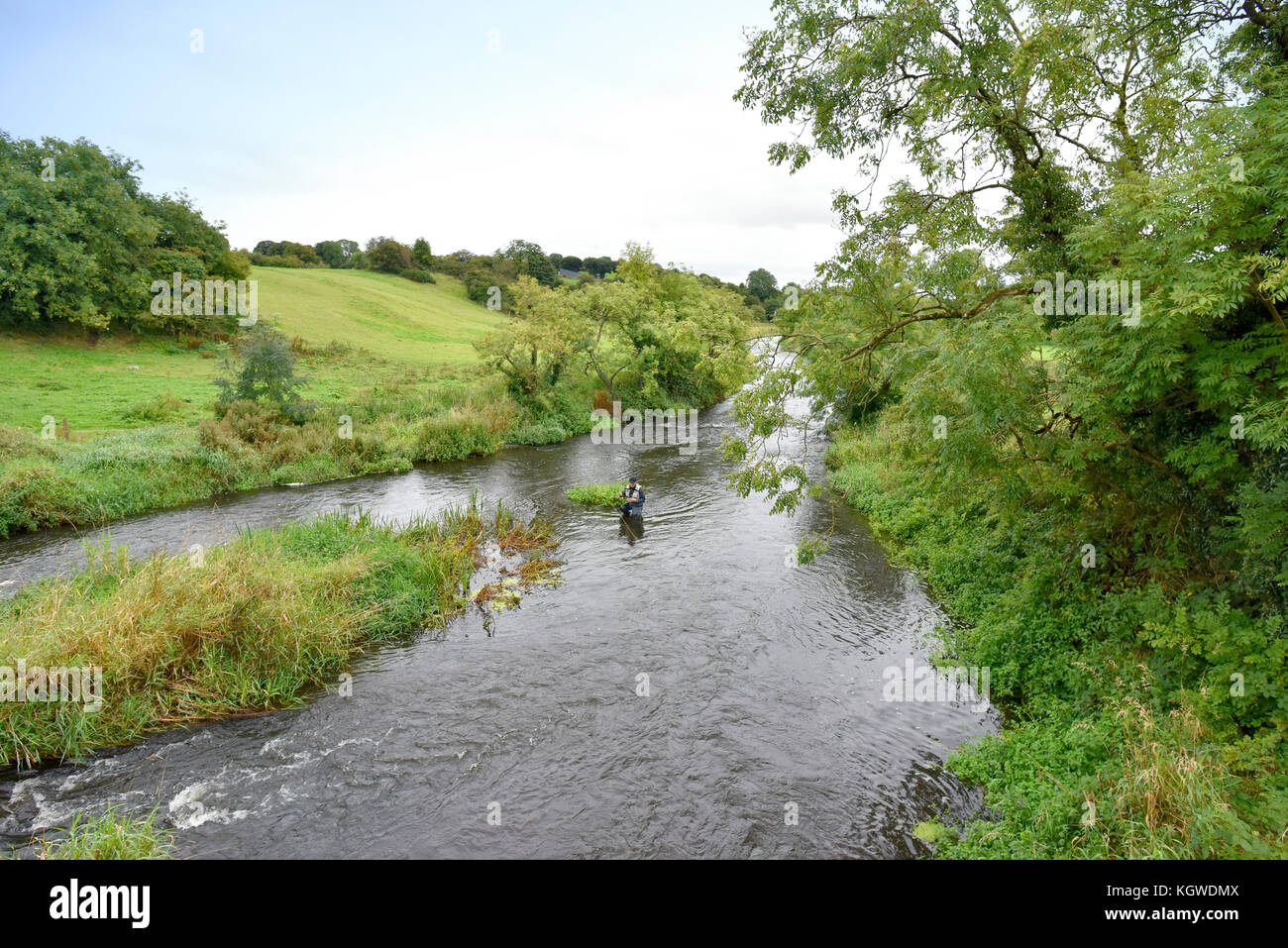 Back view of fly-fisherman fishing in river Stock Photo - Alamy