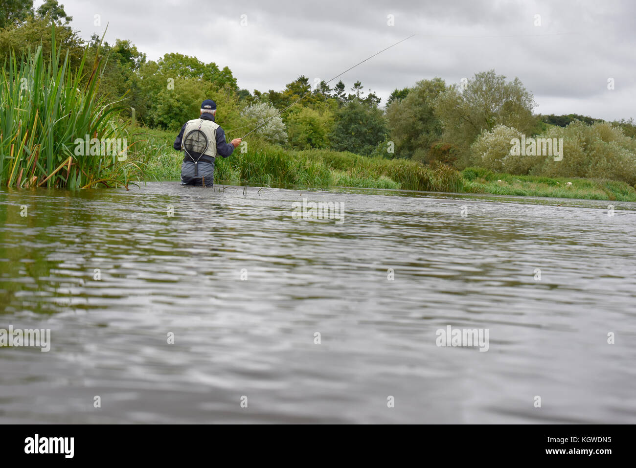 Back view of fly-fisherman fishing in river Stock Photo - Alamy