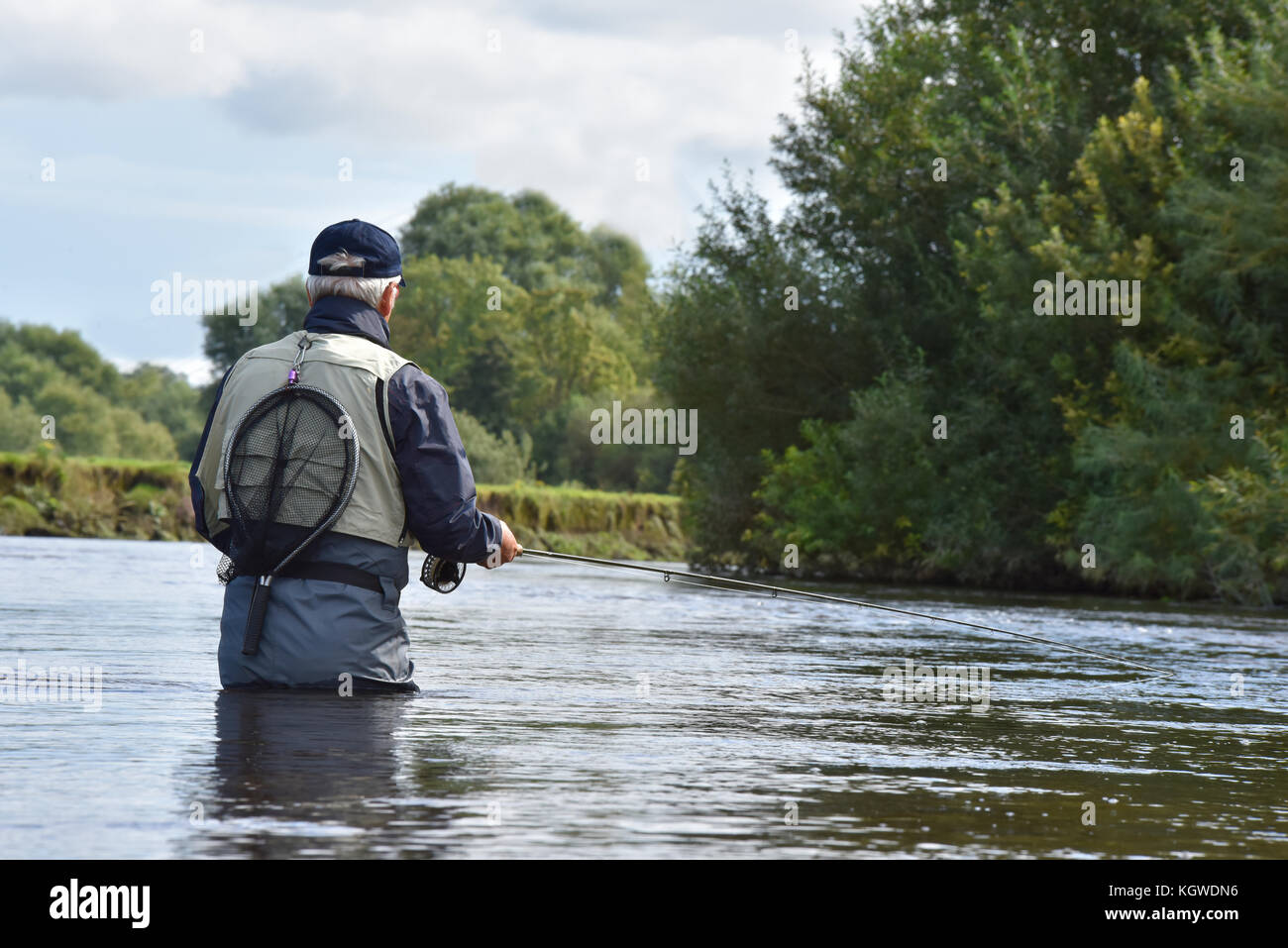 Back view of fly-fisherman fishing in river Stock Photo - Alamy