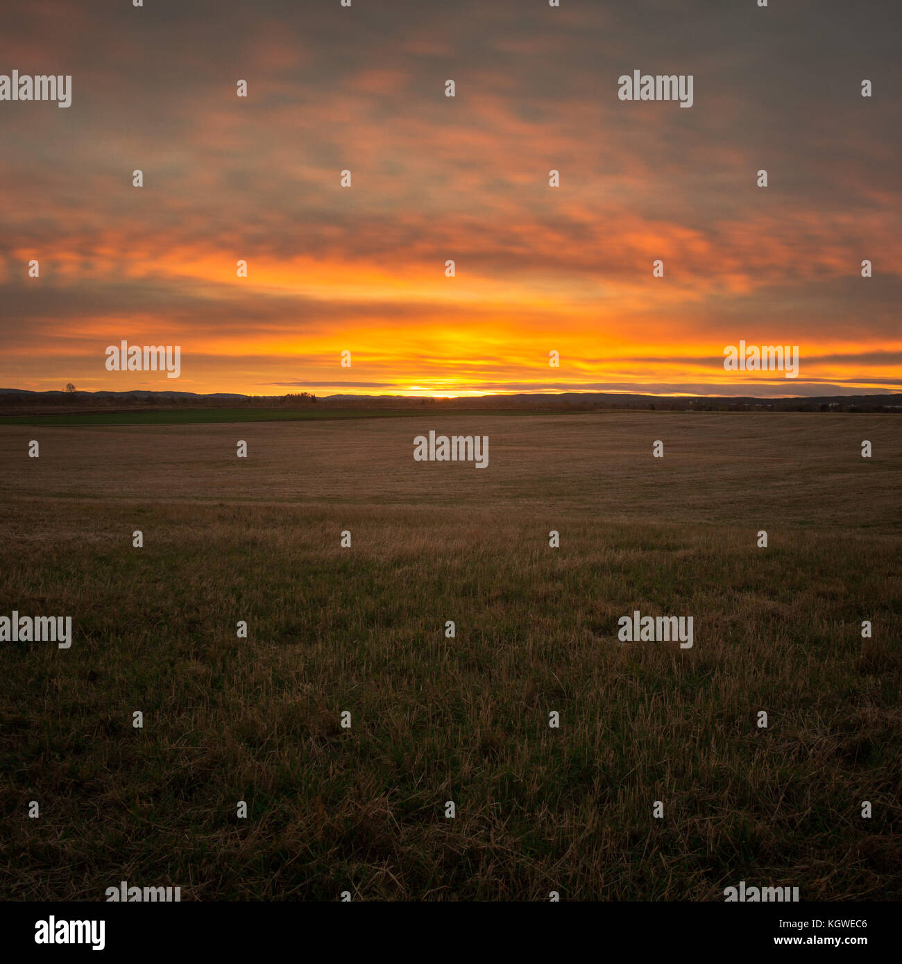 Open farmer field hi-res stock photography and images - Alamy