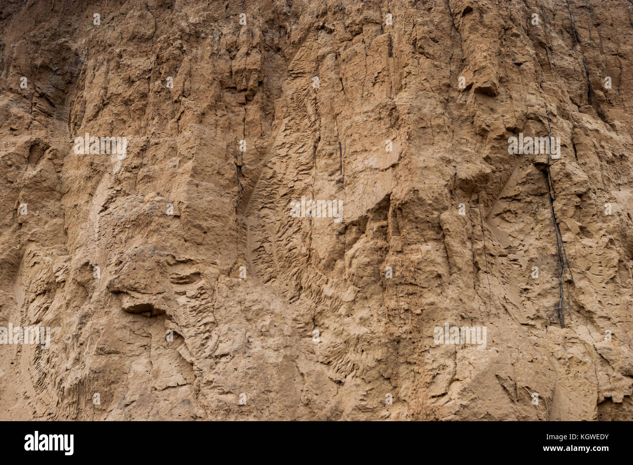 Close-up of a loamy ravine wall as an environmental texture background ...