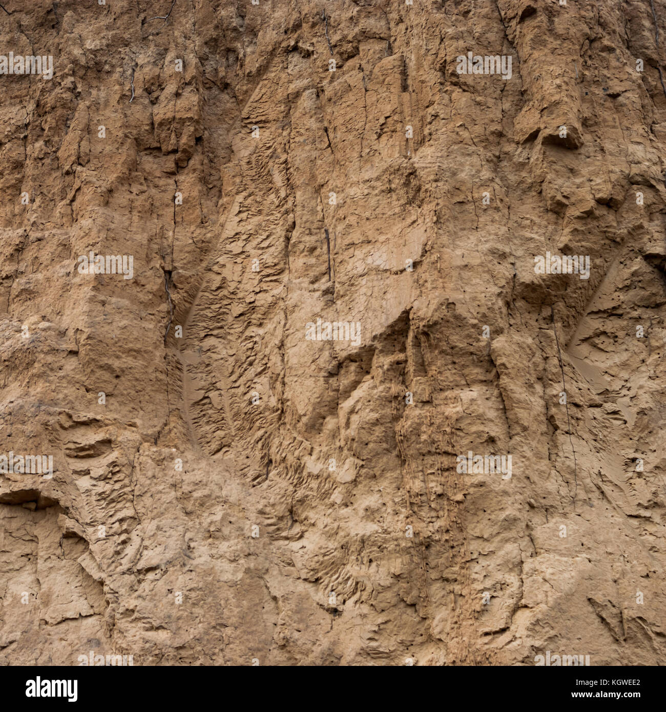 Close-up of a loamy ravine wall as an environmental texture background ...